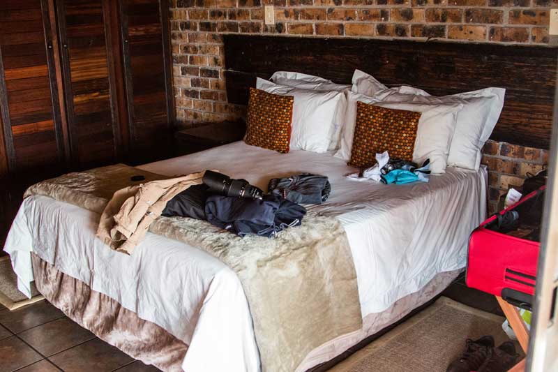 South Africa: Review Gomo Gomo Game Lodge (Klaserie / Kruger National Park)